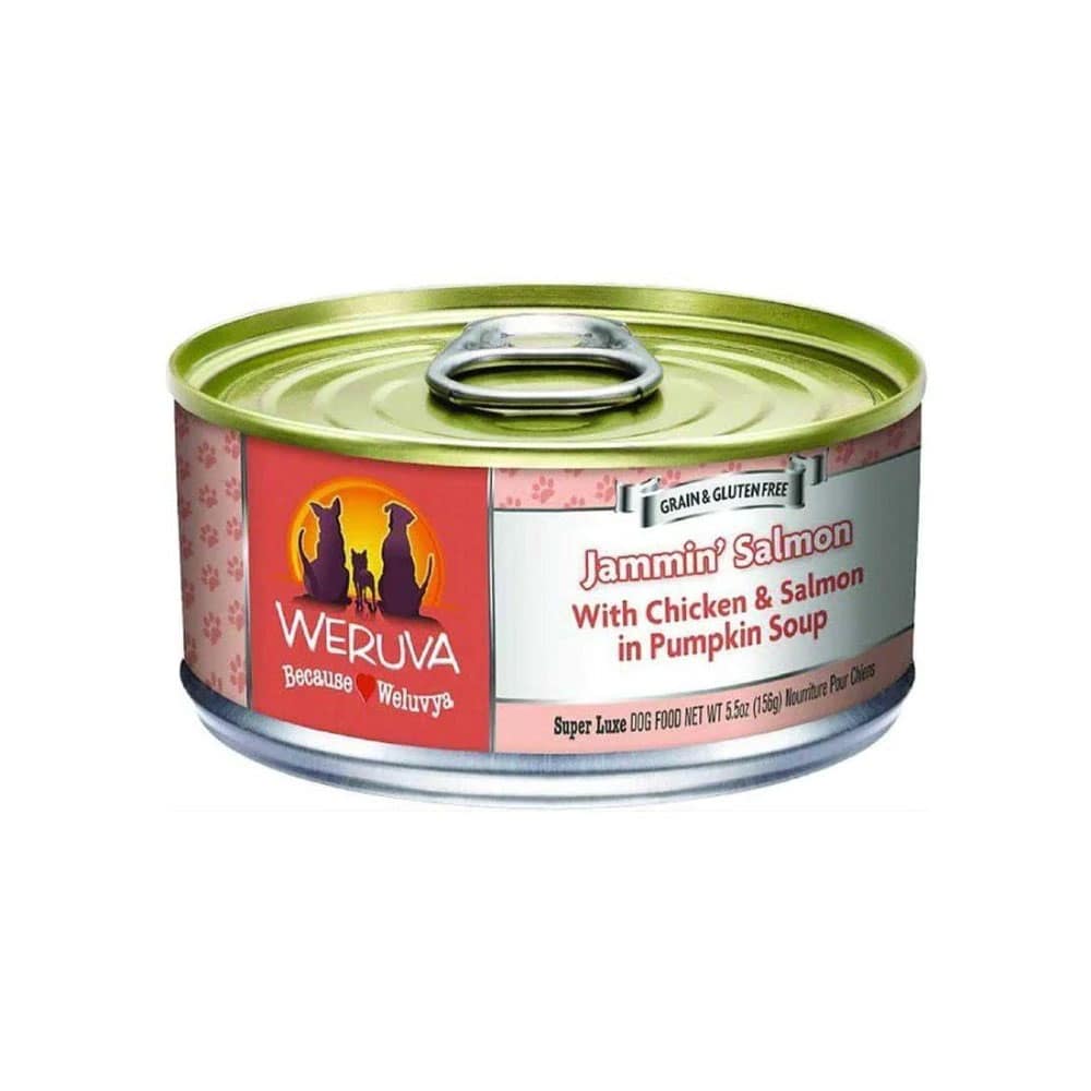 Weruva Jammin' Salmon for Dogs | Pet Hero
