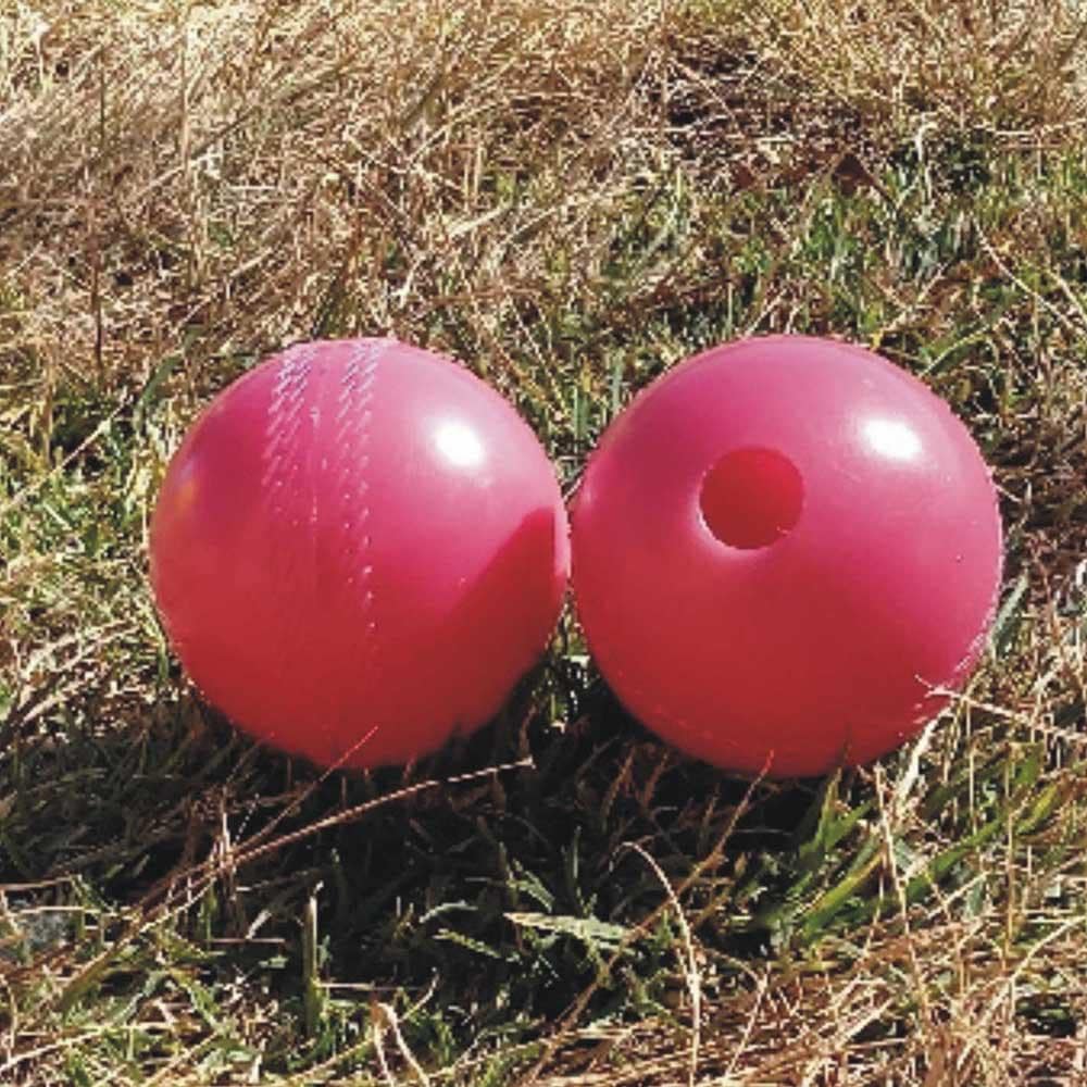 Robust a Ball Puppy Ball | Pet Hero