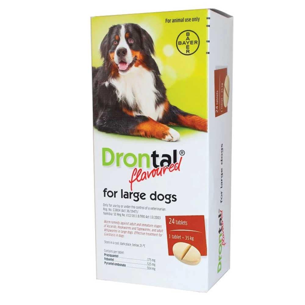 Bayer Drontal for Large Dogs | Pet Hero