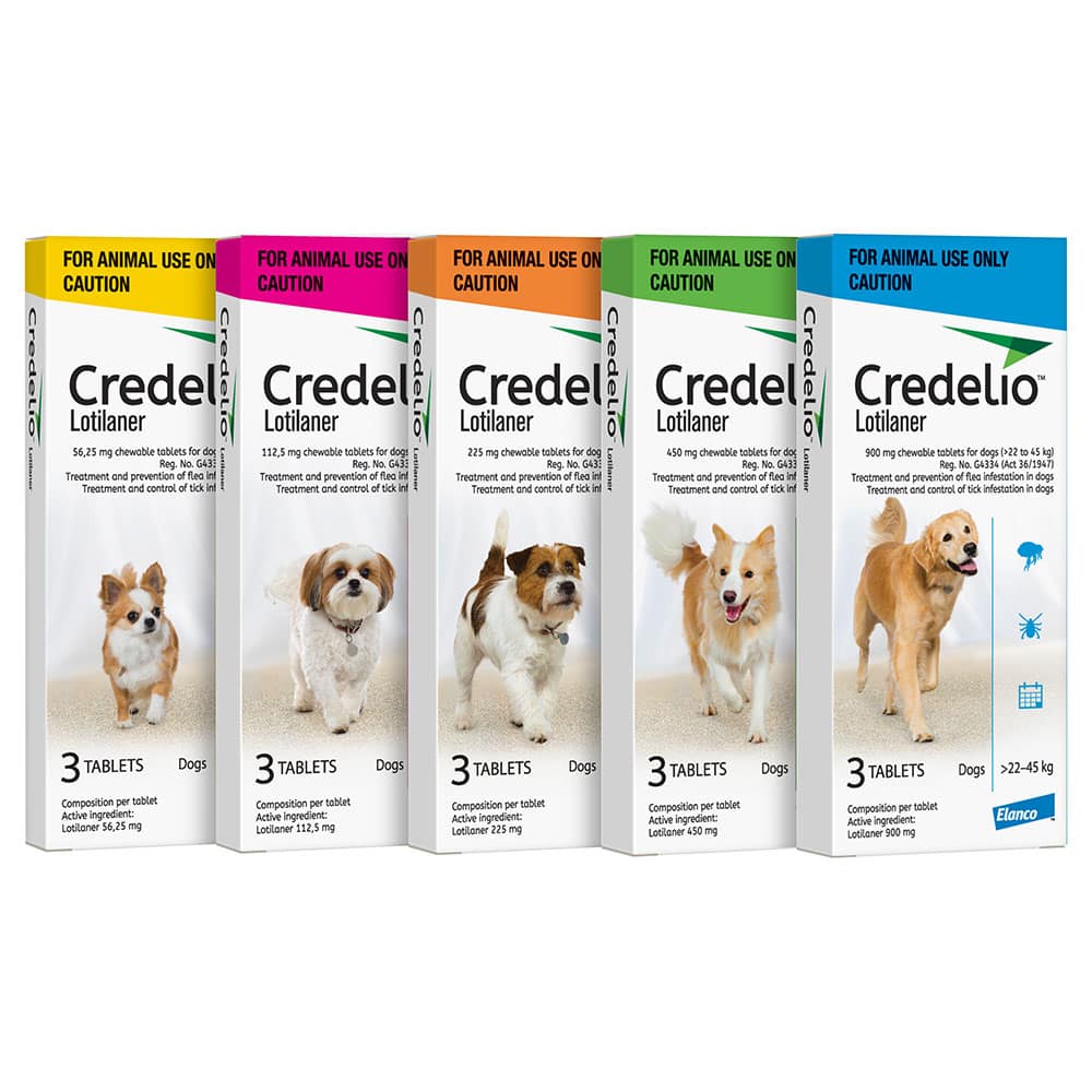 Credelio (lotilaner) | Pet Hero