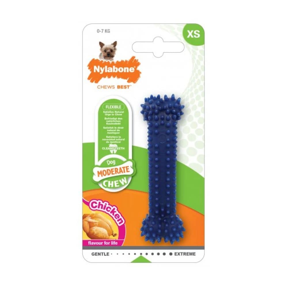 Nylabone Moderate Dental Chew | Pet Hero
