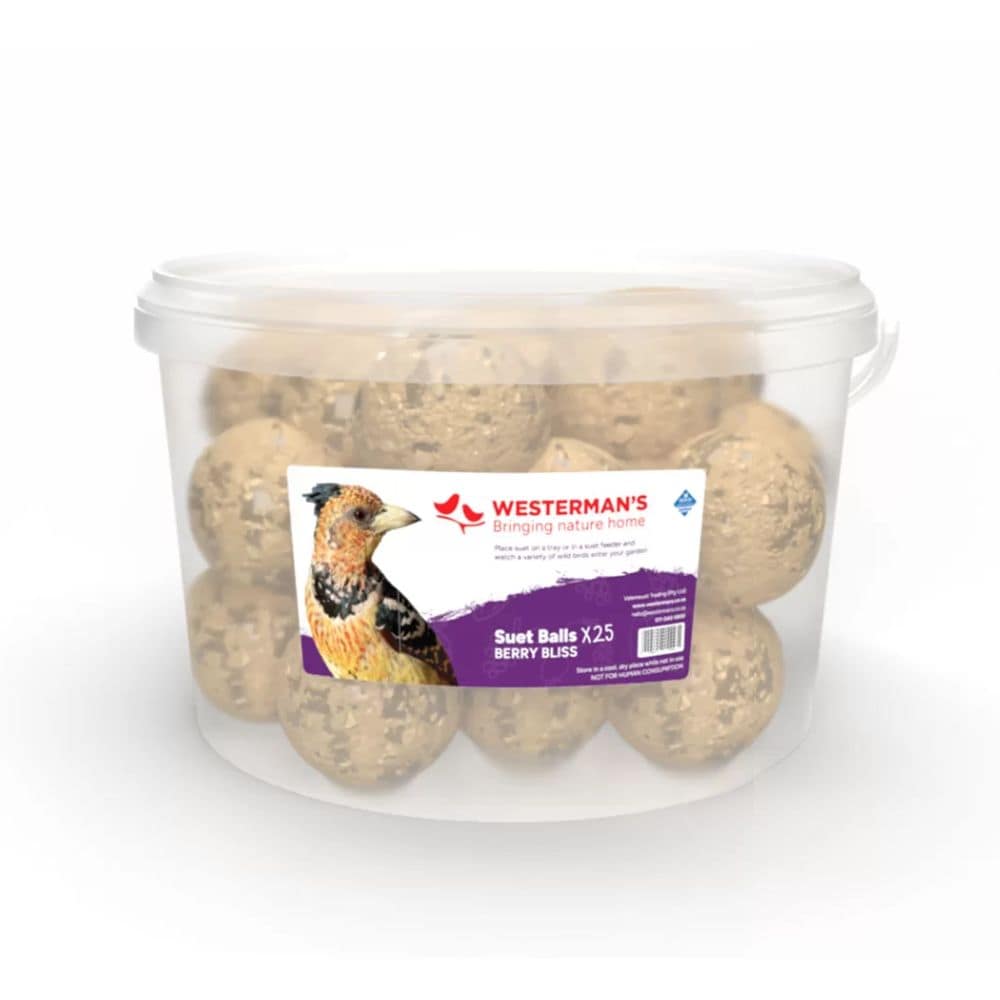 Westerman’s 25 x Suet Balls Berry Bliss Value Tub for Birds | Pet Hero