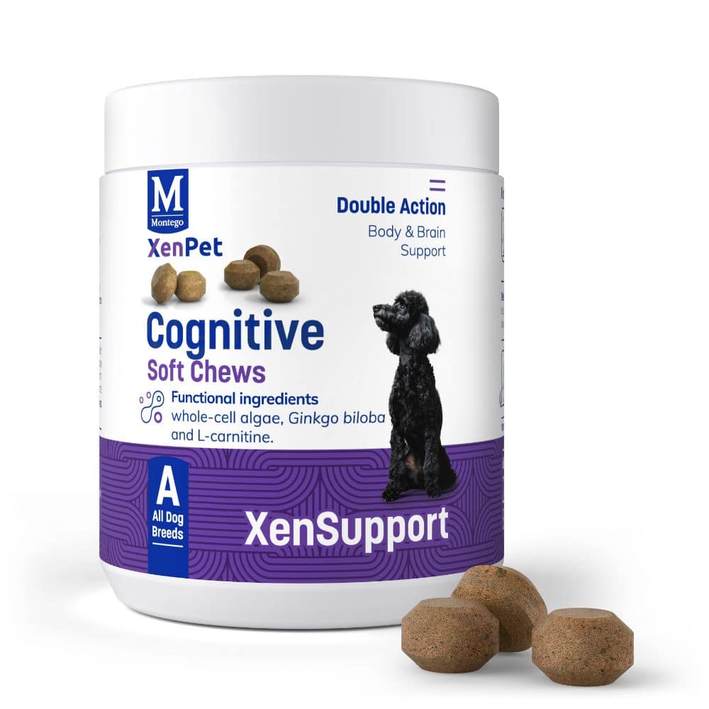 Montego XenPet Cognitive Chews for Dogs | Pet Hero