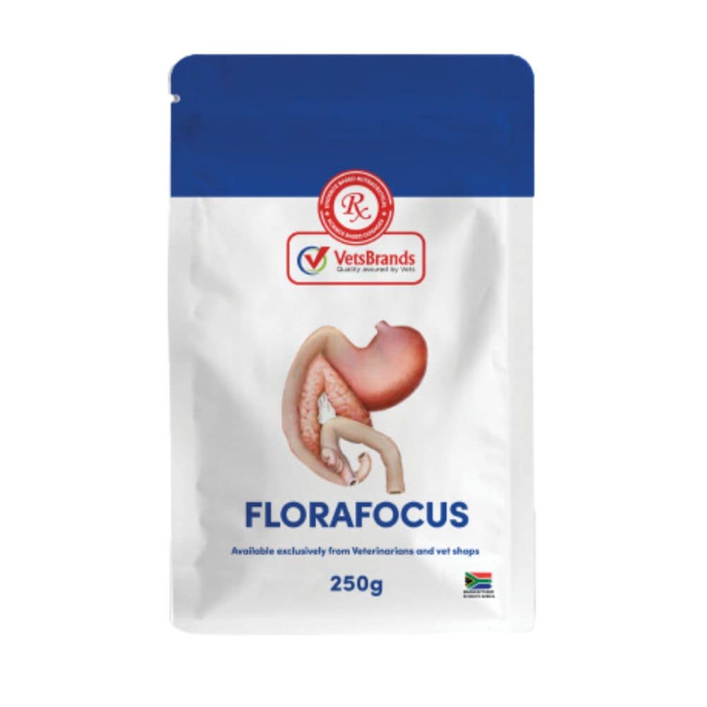 VetsBrands FloraFocus for Cats and Dogs | Pet Hero