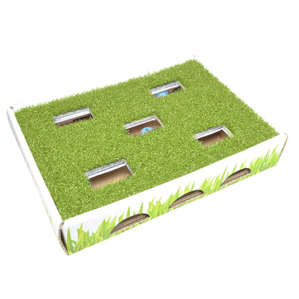 Catstages Grass Patch Hunting Box for Cats | Pet Hero