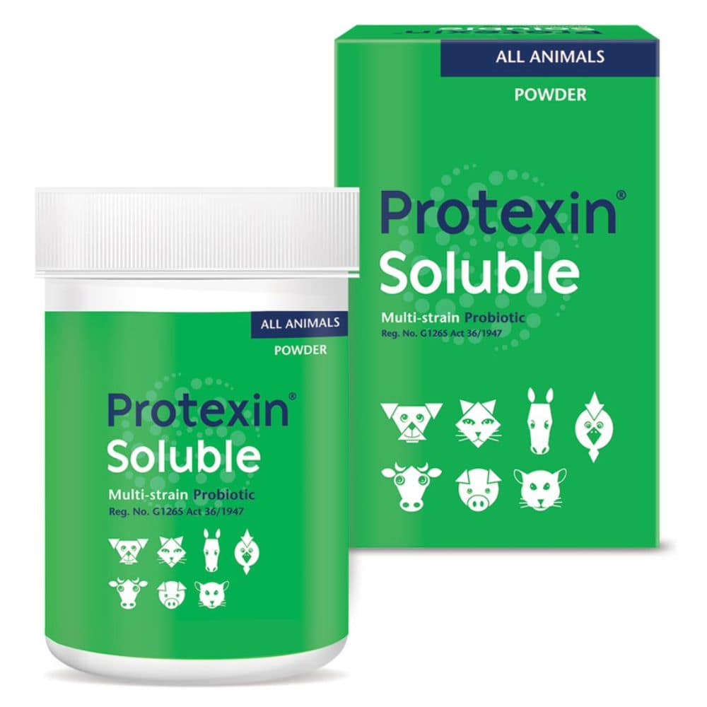 Buy Kyron animal health products for pets Online | Pet Hero