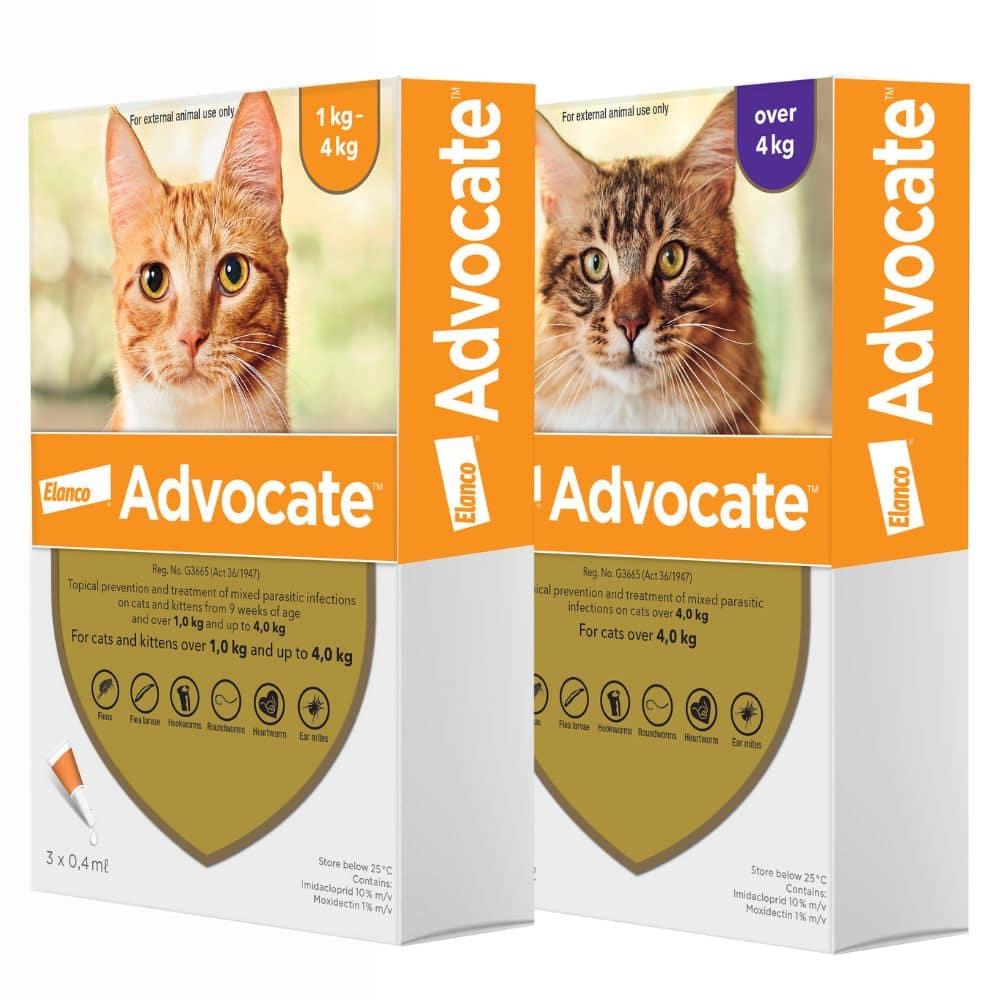 Buy Tick & flea control products for cats Online | Pet Hero