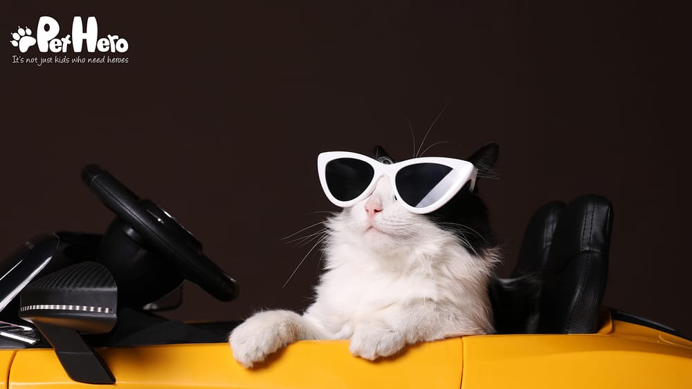 Five famous female pets from movies | Pet Hero