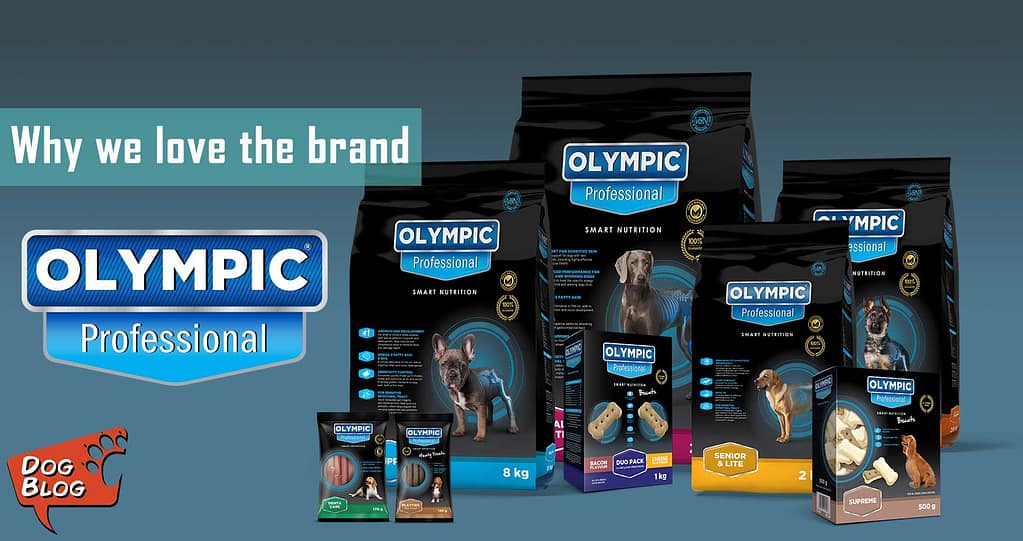 How To Introduce Your New Puppy To Your Other Pets | Pet Hero