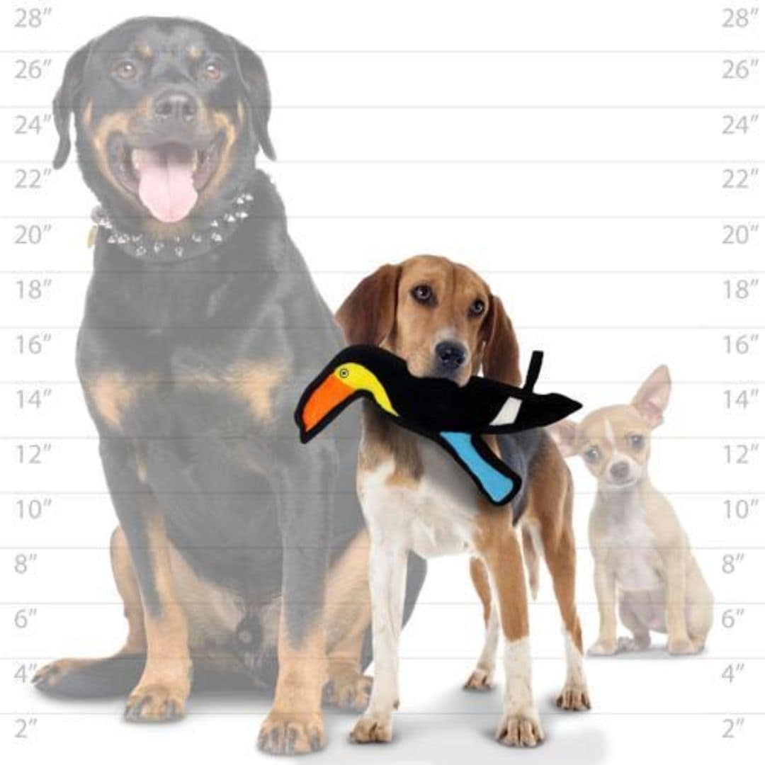 Tuffy Zoo Toucan Dog Toy | Pet Hero