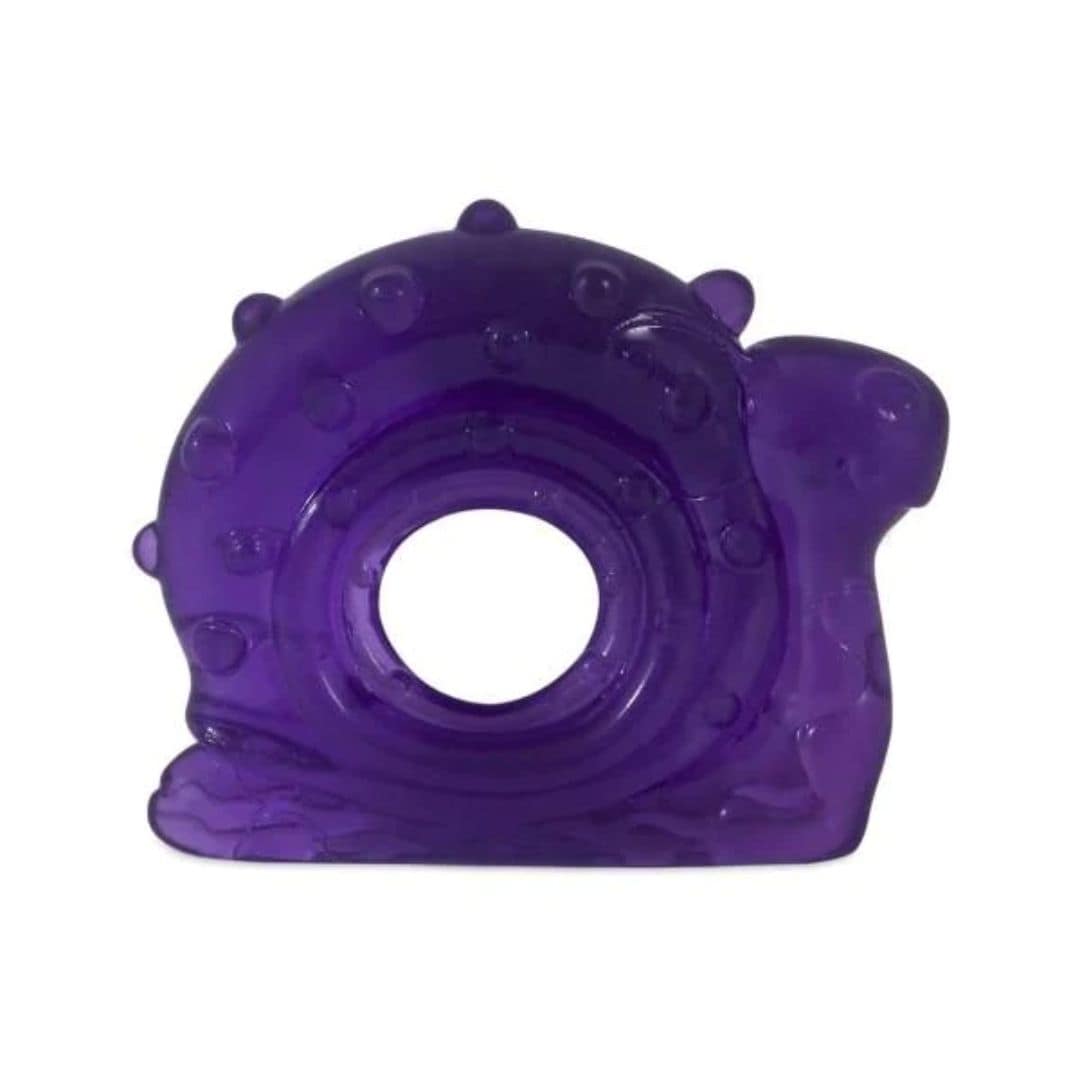 JW Puppy Snail Chewy Teether | Pet Hero