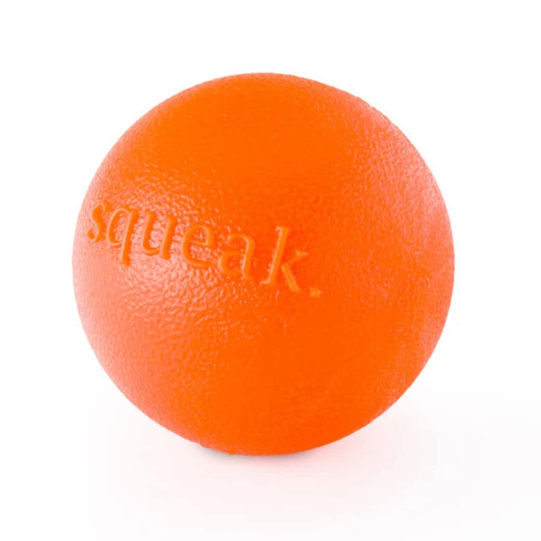 Petstages Planet Dog Squeak Ball Dog Toy | Pet Hero