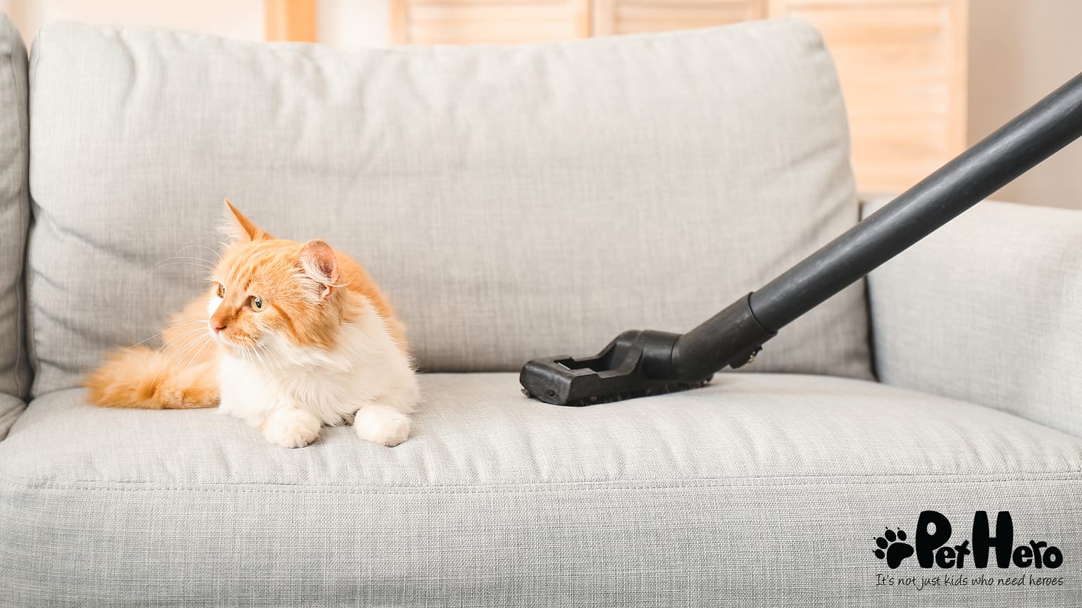 What are the best cleaning products for a house with pets? | Pet Hero