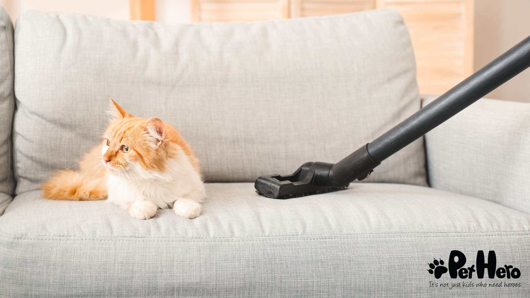 What are the best cleaning products for a house with pets? | Pet Hero