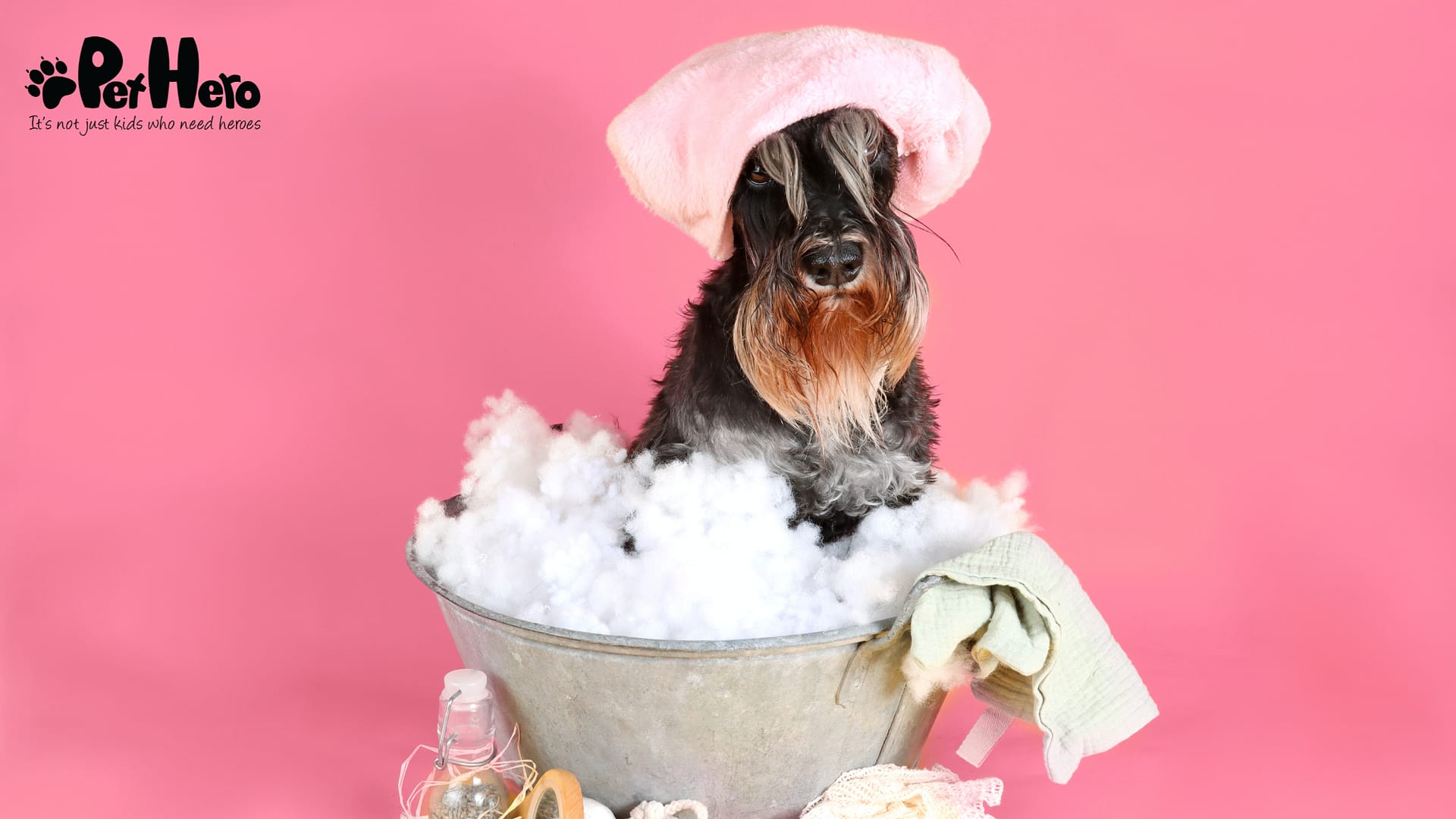 Grooming - Healthy tips to keep in mind | Pet Hero