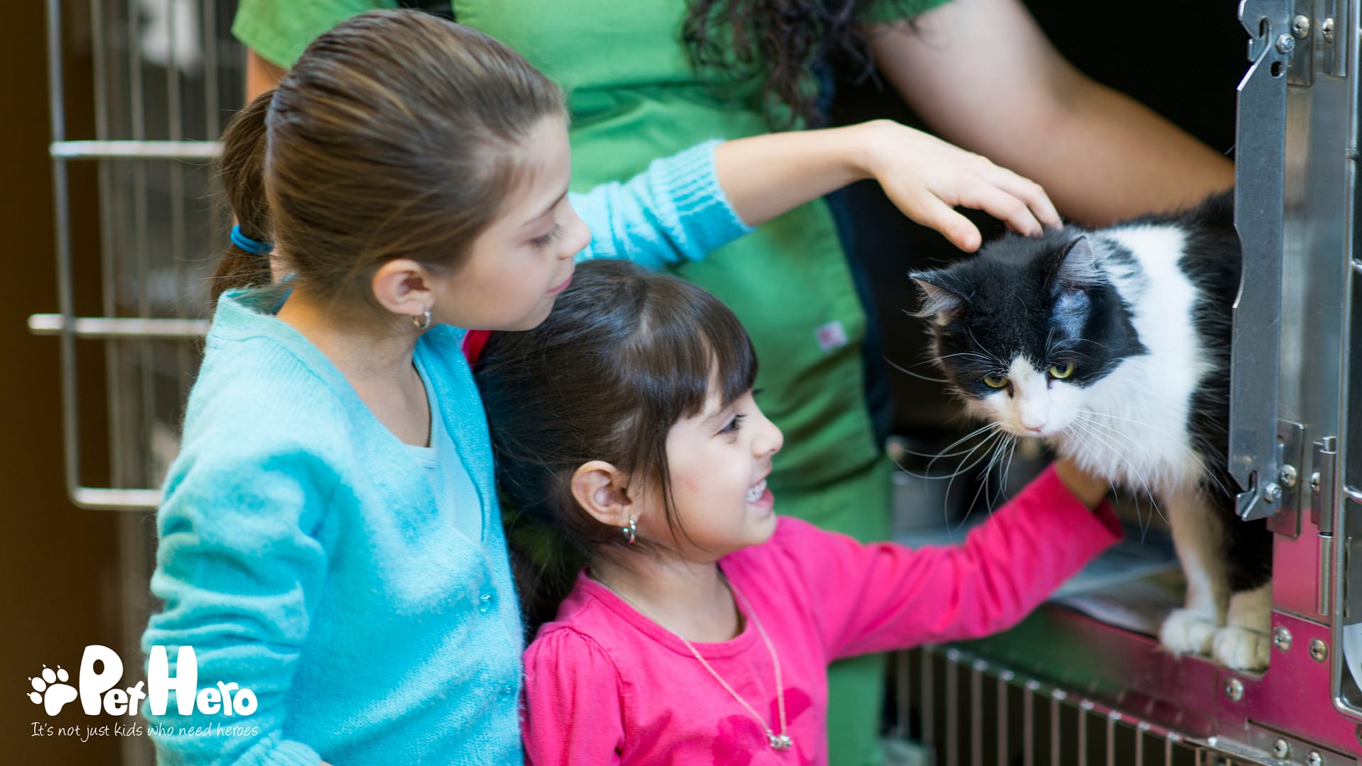 The Pet Adoption Process | Pet Hero