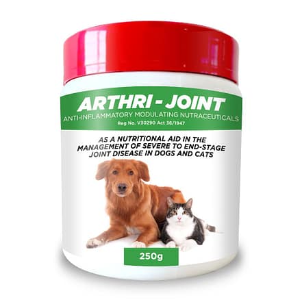 Buy Veterinary Recommended Dog Joint Support Online | Pet Hero