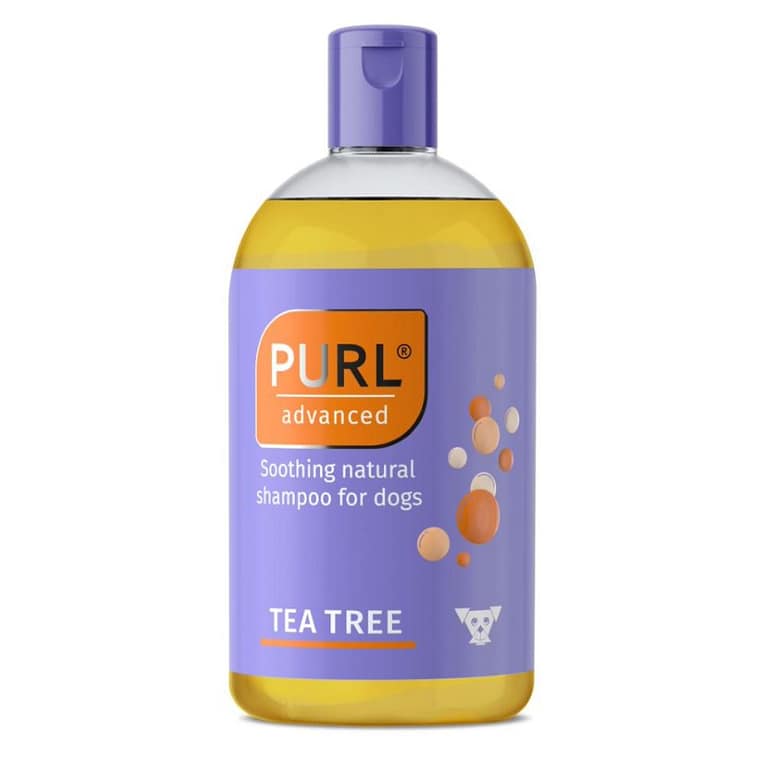 Kyron Purl Tea Tree Oil Shampoo | Pet Hero