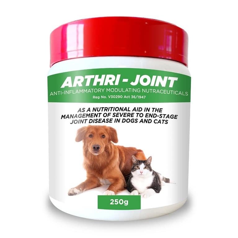 Buy Veterinary Recommended Dog Joint Support Online | Pet Hero