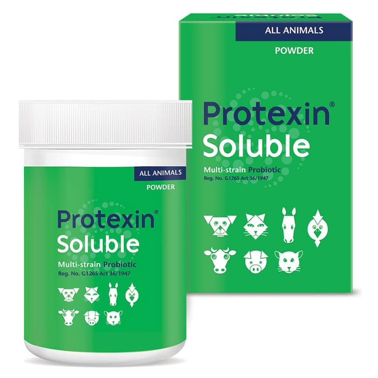 Buy Kyron animal health products for pets Online | Pet Hero