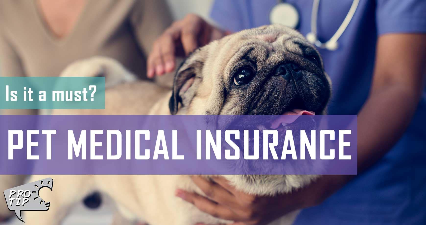 Pet Medical Insurance Pet Hero Pet Medical Insurance Pet Hero