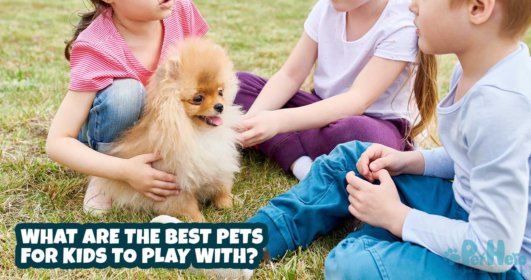 What Are The Best Pets For Kids To Play With? | Pet Hero