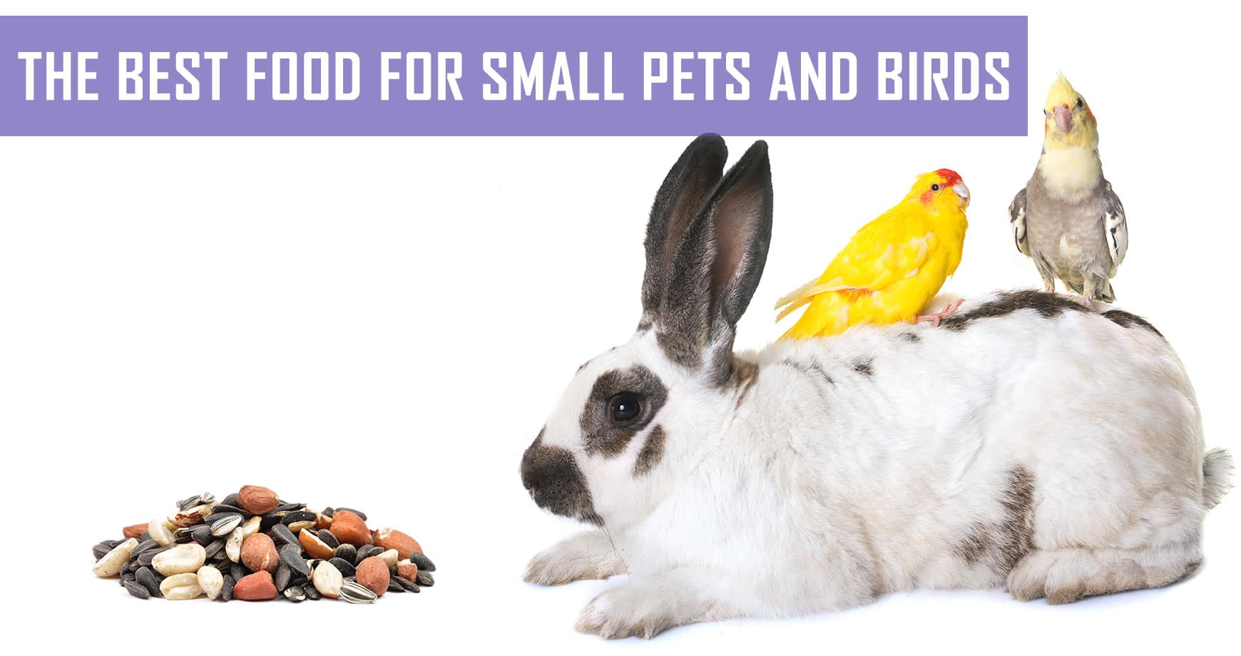 The Best Food For Small Pets And Birds | Pet Hero