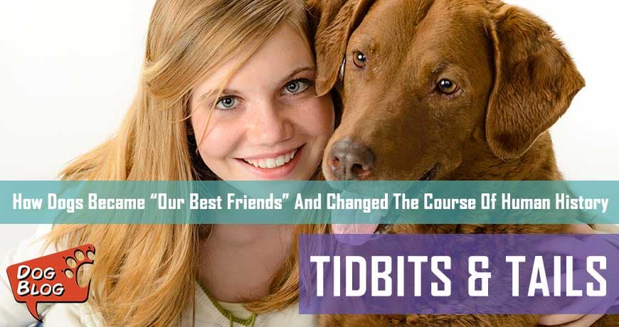 How Dogs Became “Our Best Friends” | Pet Hero